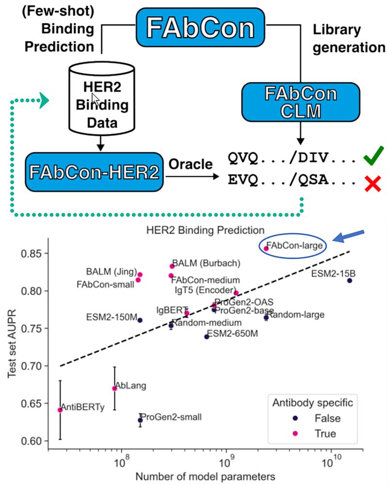FAbCon: Can antibody-specific generative foundation model facilitate ...