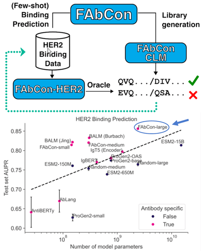 FAbCon: Can antibody-specific generative foundation model facilitate ...
