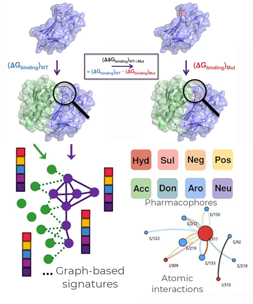 DDMut-PPI: Can Deep Learning Predict the Effects of Mutations on PPI?