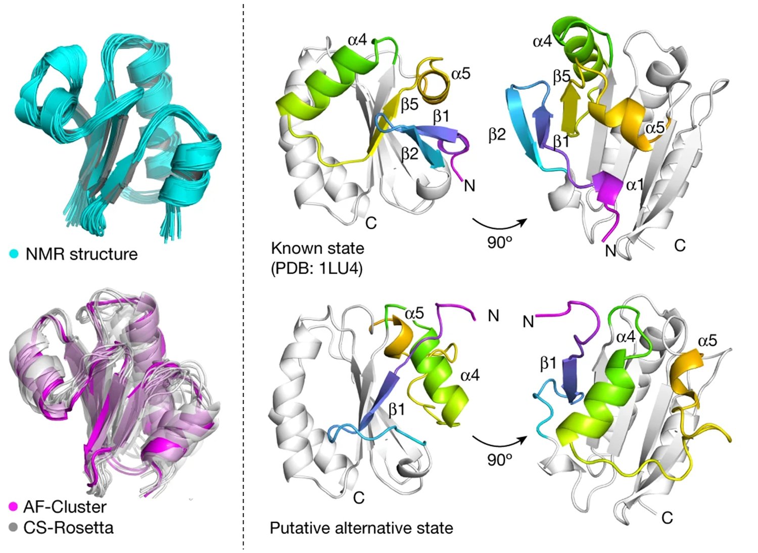 AF-Cluster: How to predict protein structural conformations using sequence similarity clustering?