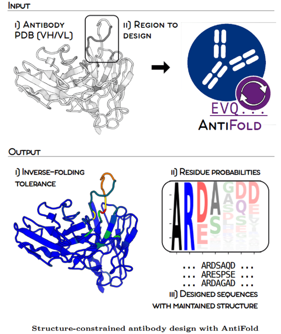 AI Methods in Antibody Structure Prediction and De Novo Generation