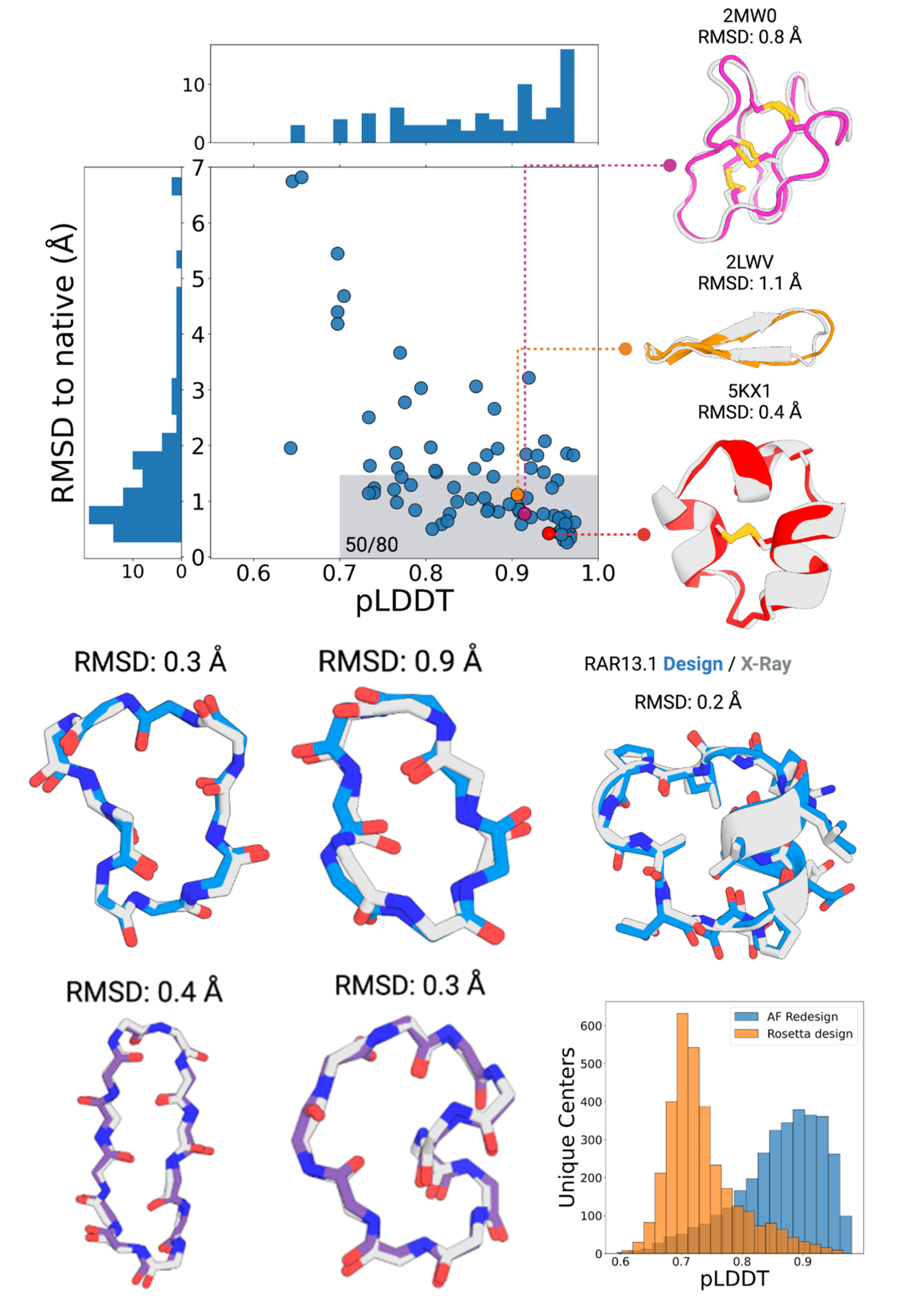 AfCycDesign: Designing cyclic peptides with atomic level accuracy