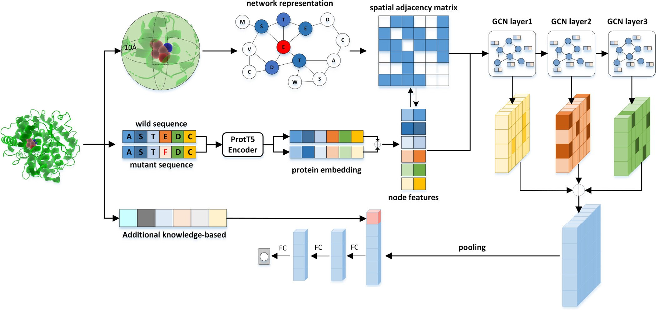 ProSTAGE: How Can Graph Convolutional Networks Reveal the Effect of Mutations on Protein Stability